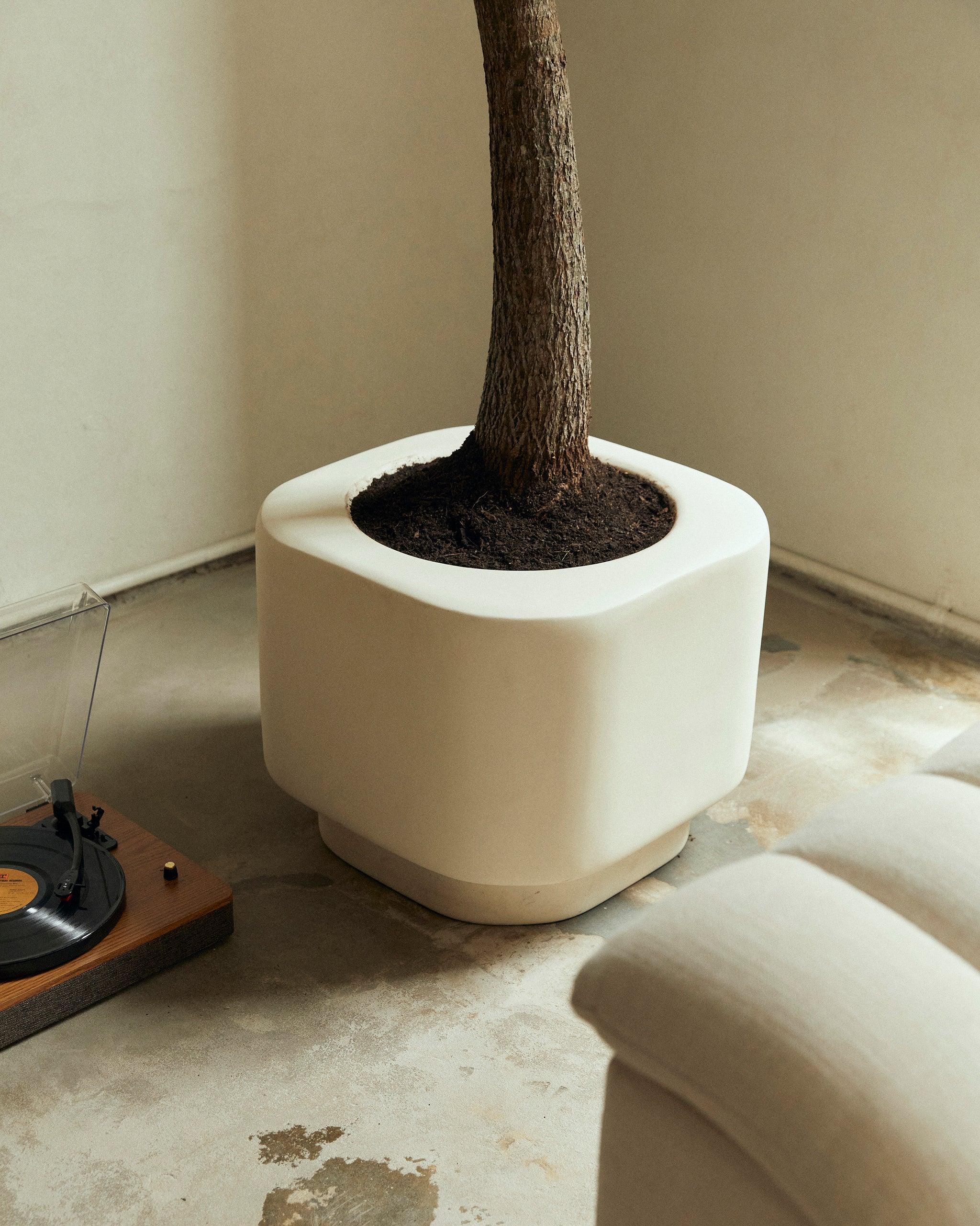 THE CURATOR – ELLISON STUDIOS.