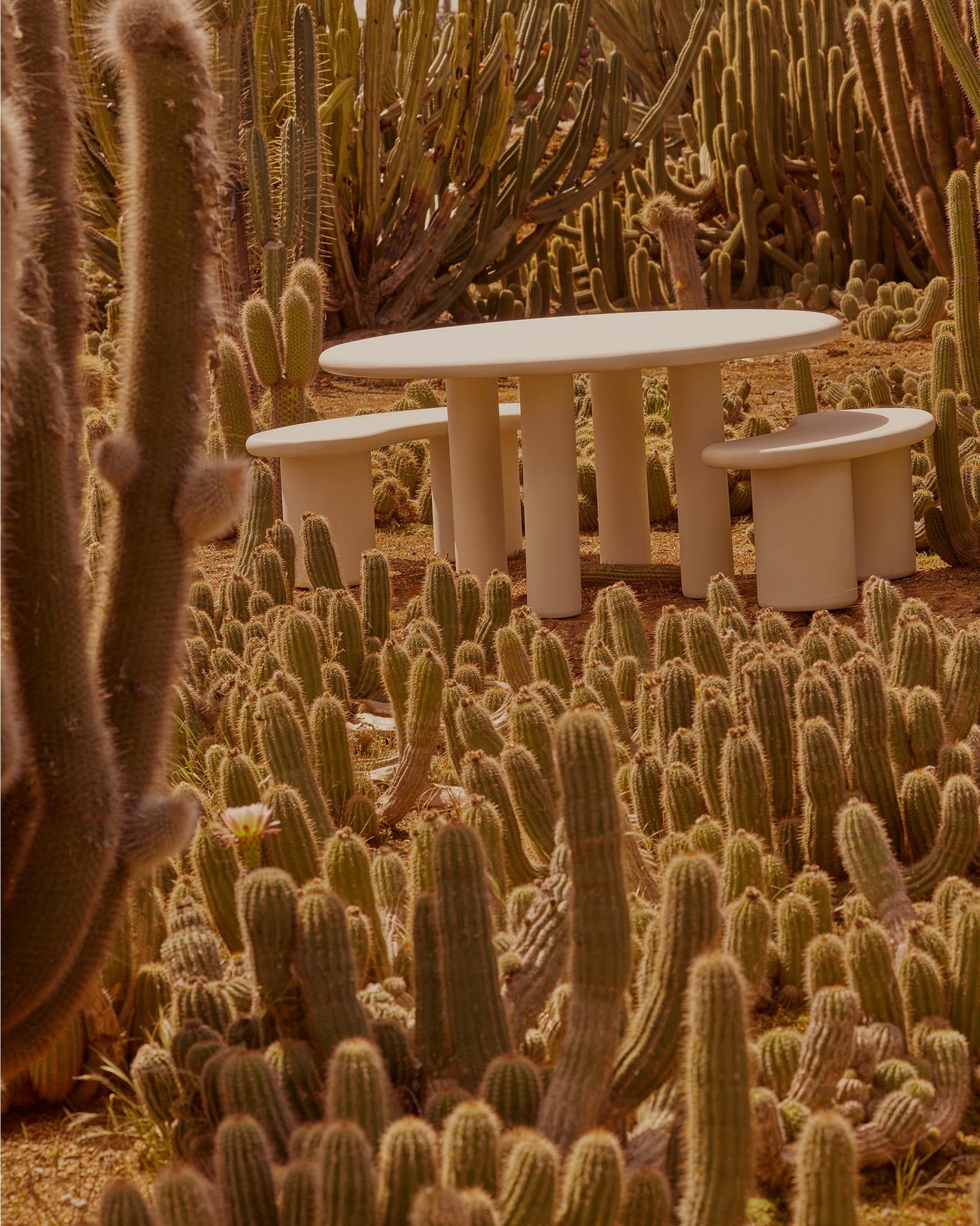 CACTUS COUNTRY – ELLISON STUDIOS.